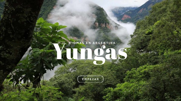 Yungas - Geo arg