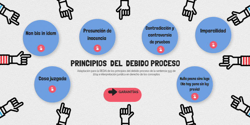 8.1 Principios Debido Proceso