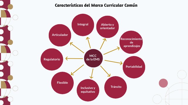 Imagen Márco Curricular Común