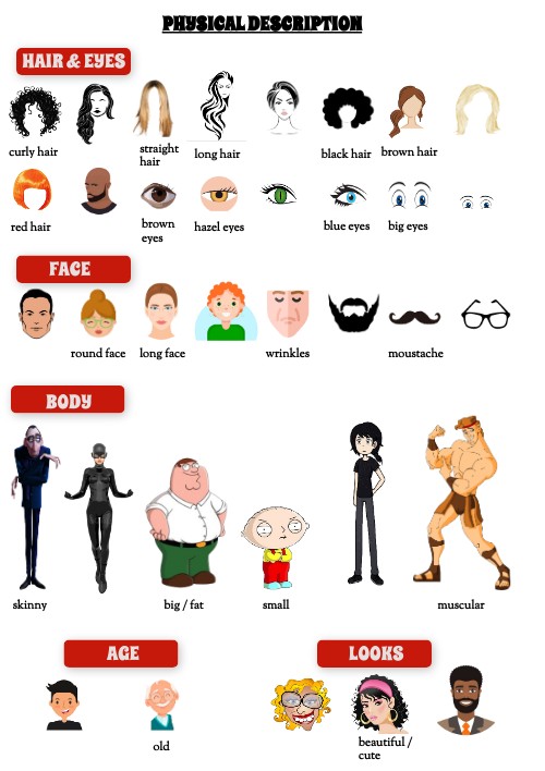 PHYSICAL DESCRIPTION VOCABULARY