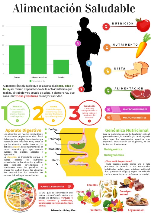 Alimentación saludable