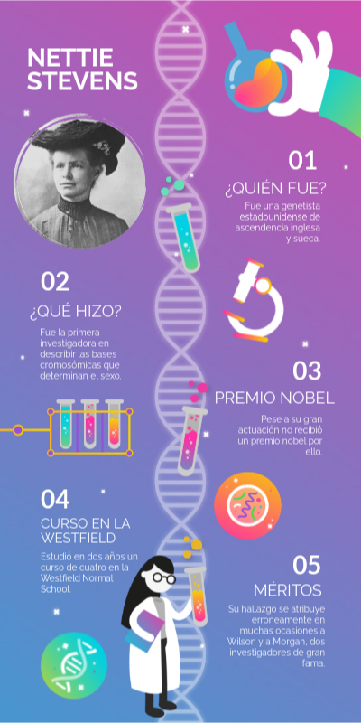 Nettie Stevens