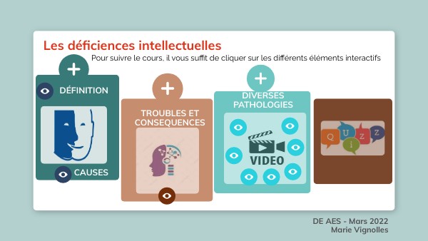 AES- Déficience Intellectuelle