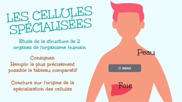 Les cellules spécialisées