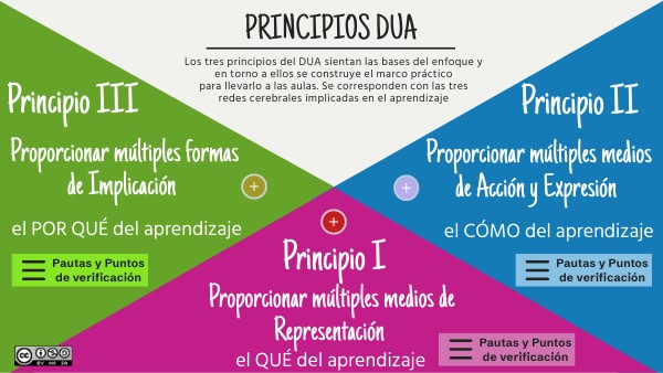 PRINCIPIOS DUA