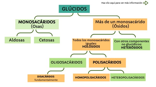 Clasificación GLÚCIDOS