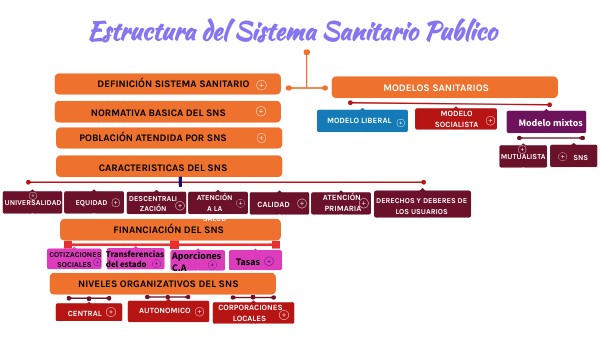 Mapa Conceptual de la organización sanitaria