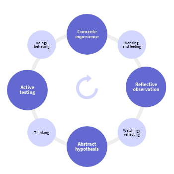FASS_013220_Kolb (and Levin's) learning cycle model_Diagram