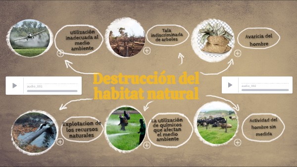 DESTRUCCION DEL HABITAT NATURAL