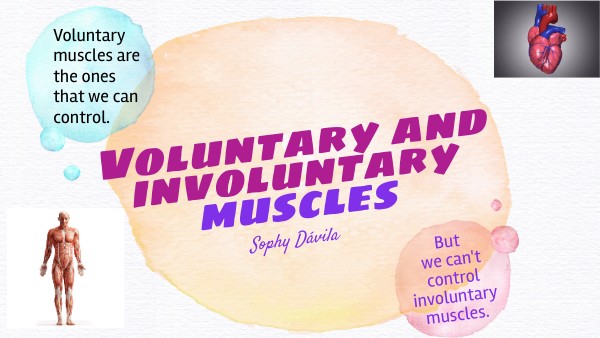 Involuntary Muscle Easy To Understand