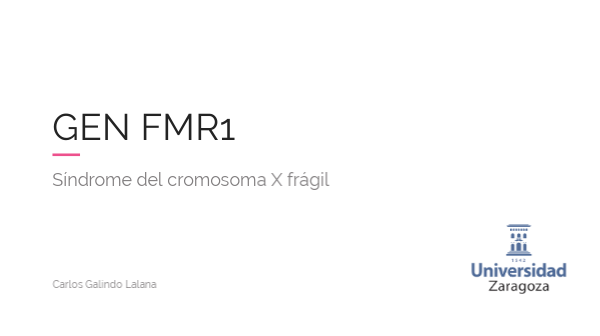 Gen FMR1
