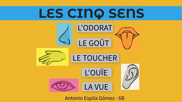 LES CINQ SENS