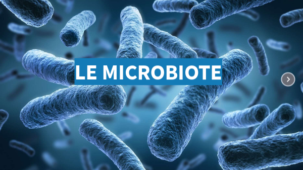 MICROBIOTE