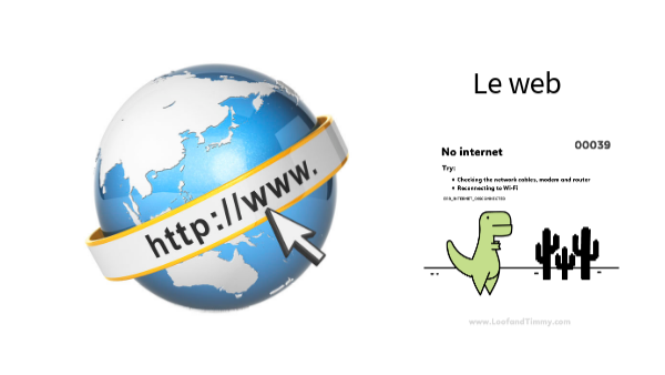 Le Web - SNT