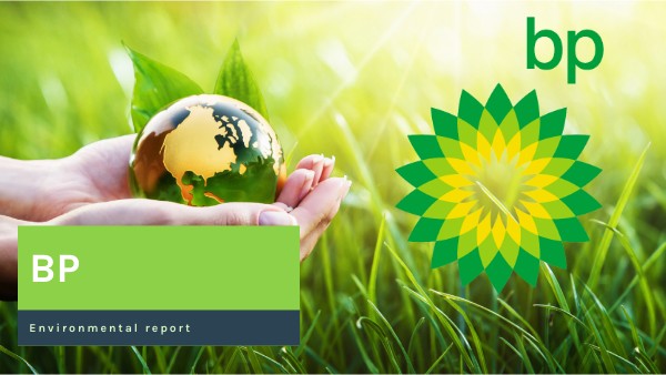 BP environmental report