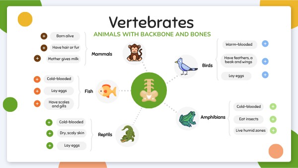 VERTEBRATES AND INVERTEBRATES