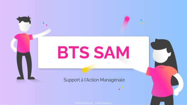 Présentation BTS SAM