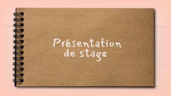 Présentation de stage