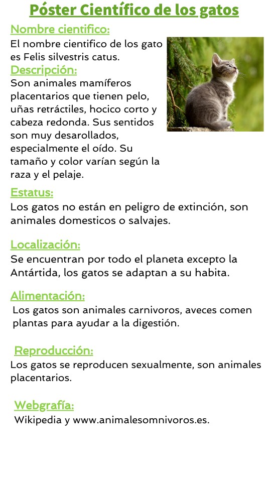 Póster Científico de los gatos