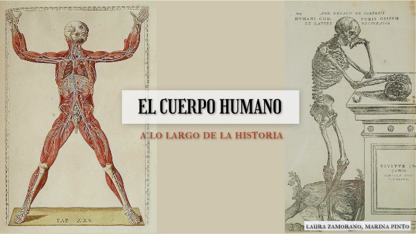 investigación del cuerpo humano a lo largo de la historia