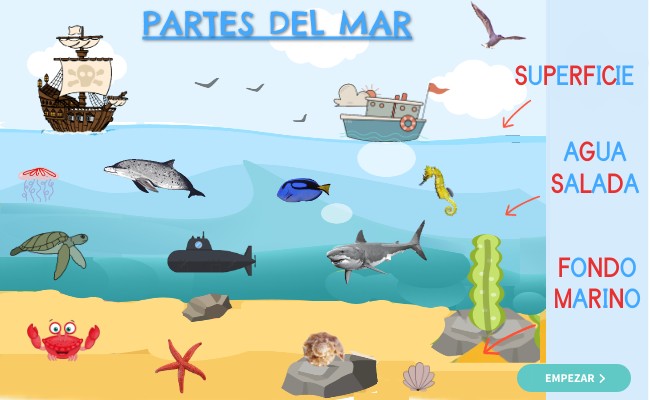 Partes del fondo del mar
