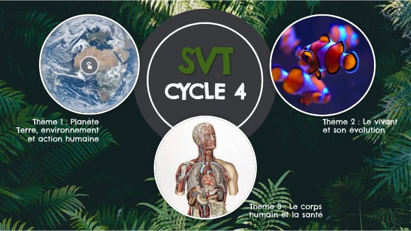 Révisions en SVT cycle 4
