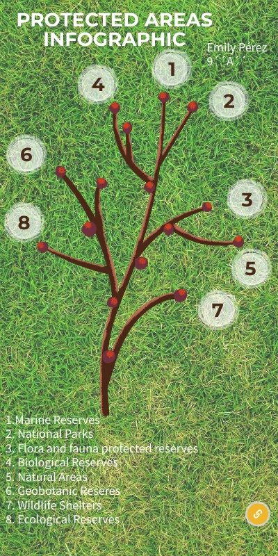 Protected areas infographic