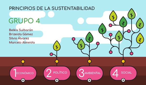 PRINCIPIOS DE LA SUSTENTABILIDAD