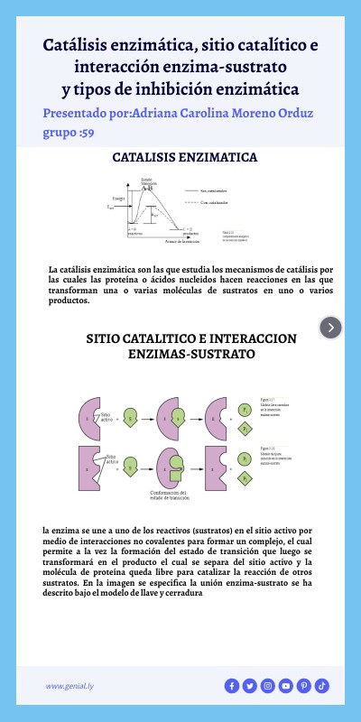 Catálisis enzimática, sitio catalítico e interacción enzima-sustrato y