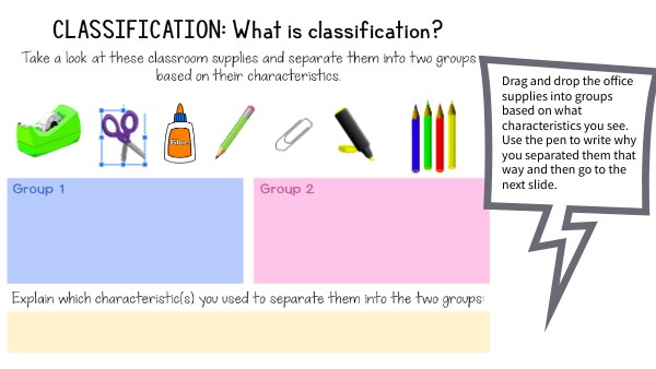 Classification
