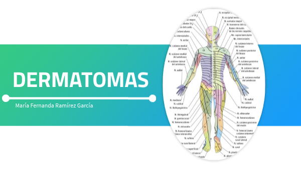 Dermatomas