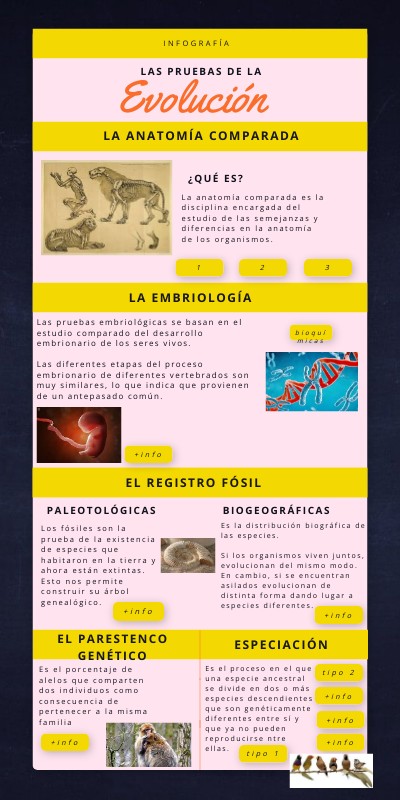 Evidencias de la evolución