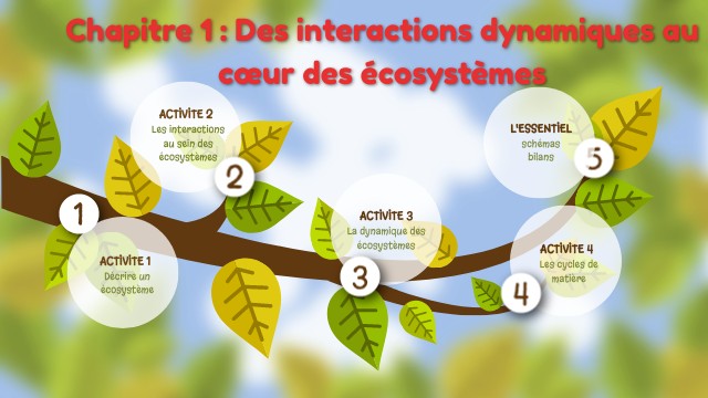 chapitre 1 écosystèmes