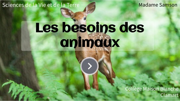Besoins Nutritifs Des Animaux 6Ème – NHMRJ