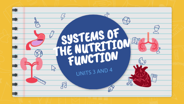 SYSTEMS OF THE NUTRITION FUNCTION