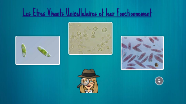 les êtres vivants unicellulaires