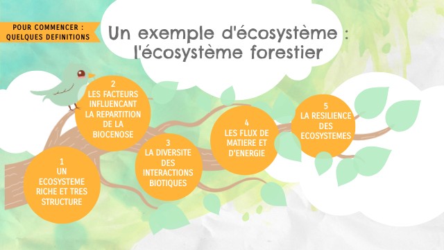 L'écosystème forestier 1ère EDS