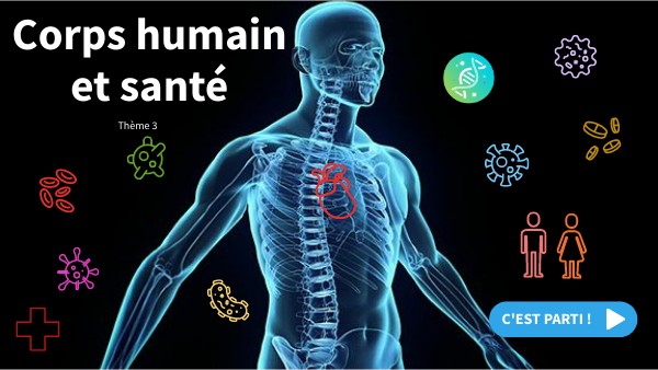 Copie - Thème 3 corps humain et santé
