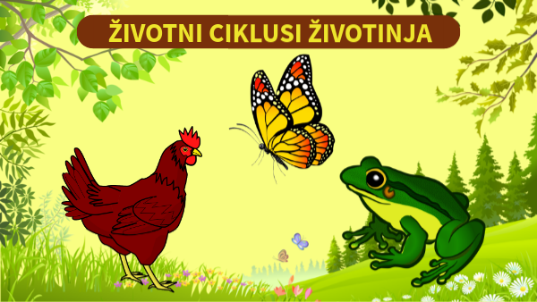 4.r. Životni ciklusi životinja