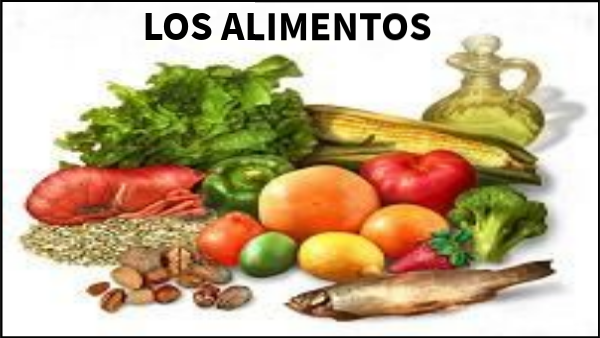 8. LOS ALIMENTOS