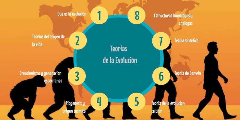 Teorías de la Evolución