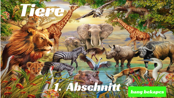 Tiere 1.