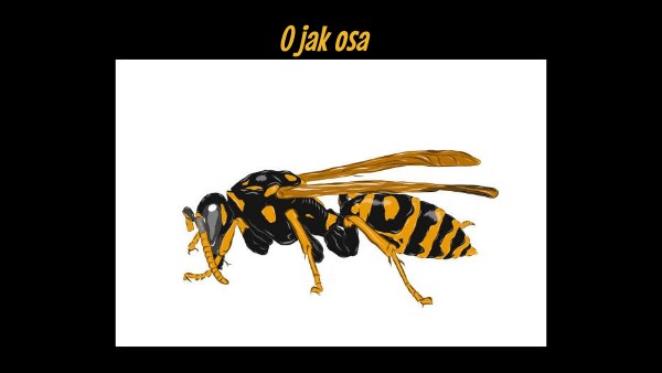 o jak osa