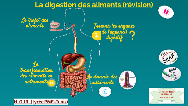 Exercices Corrigés Sur La Digestion Des Aliments Pdf 5ème | Chtoby Pomnili