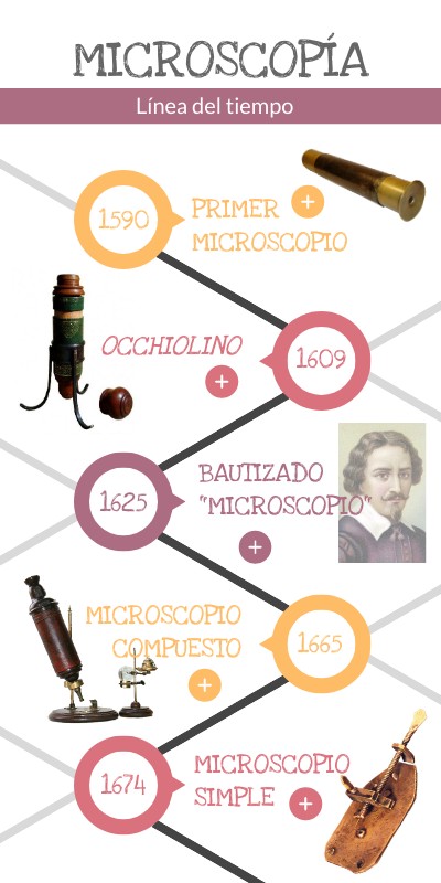 MICROSCOPÍA LÍNEA DEL TIEMPO
