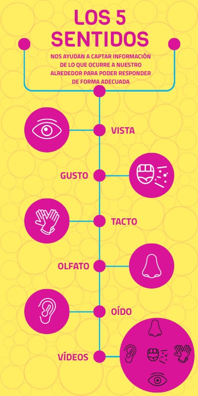 LOS SENTIDOS