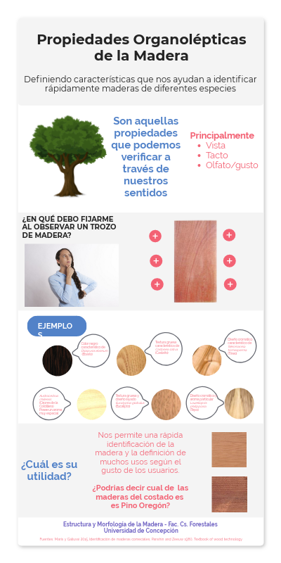 Propiedades organolepticas de la madera