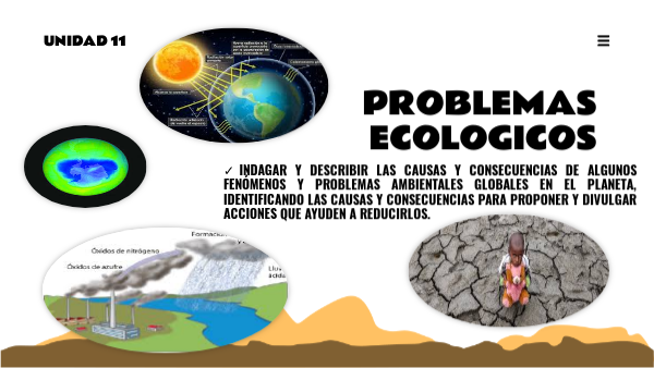 PROBLEMAS ECOLOGICOS