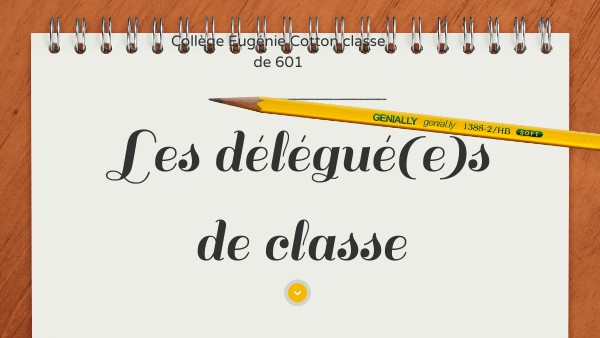 Les délégué(e)s de classes