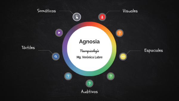 Los 5 Tipos De Agnosias , Astereognosia y agnosia táctil: síntomas y ...